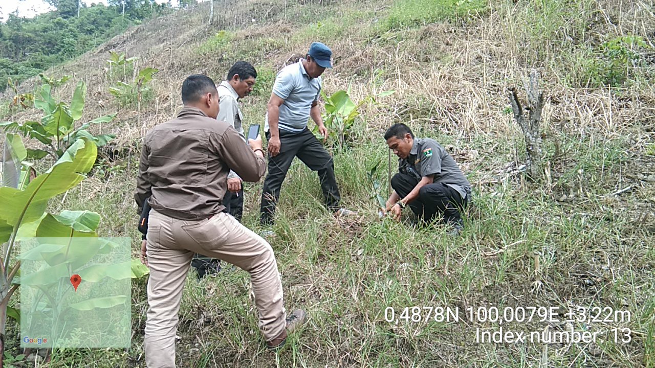 BPDAS Indragiri Rokan Salah Satu UPT Direktorat Pengelolaan Daerah ...